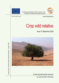 Introgression breeding from crop wild relatives in eggplant landraces for adaptation to climate ...